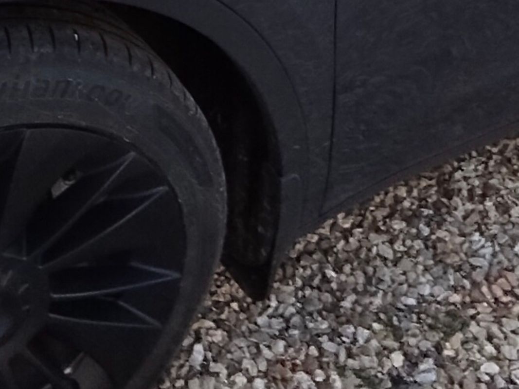 IMG 2608 — Postimages