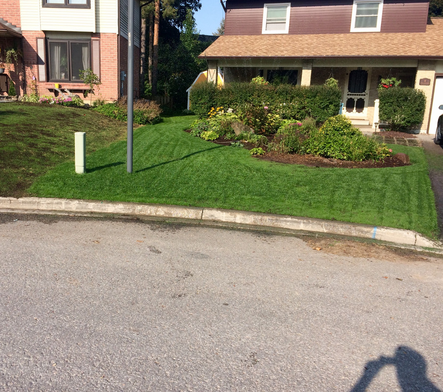 IMG 7666 — Postimages