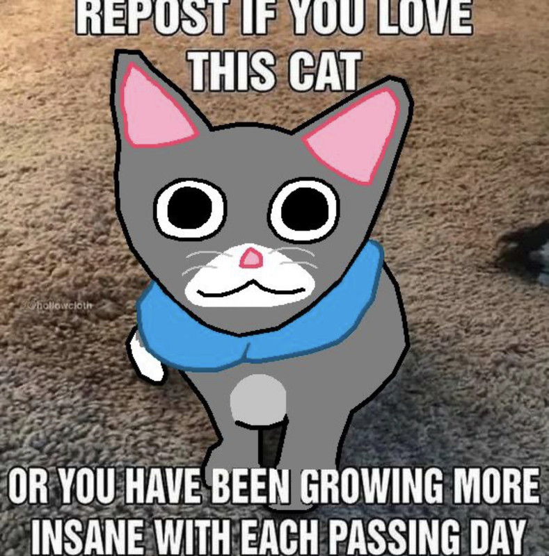 25 E4 D4 A1 E25 D 47 DB 998 F 9 ABADDFAA503 — Postimages