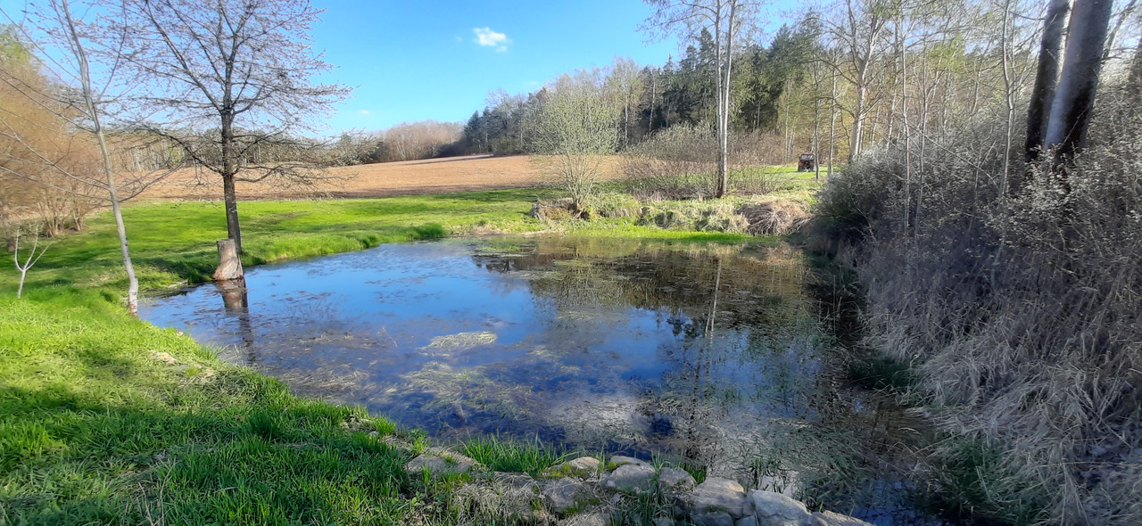 20230421 173123 — Postimages