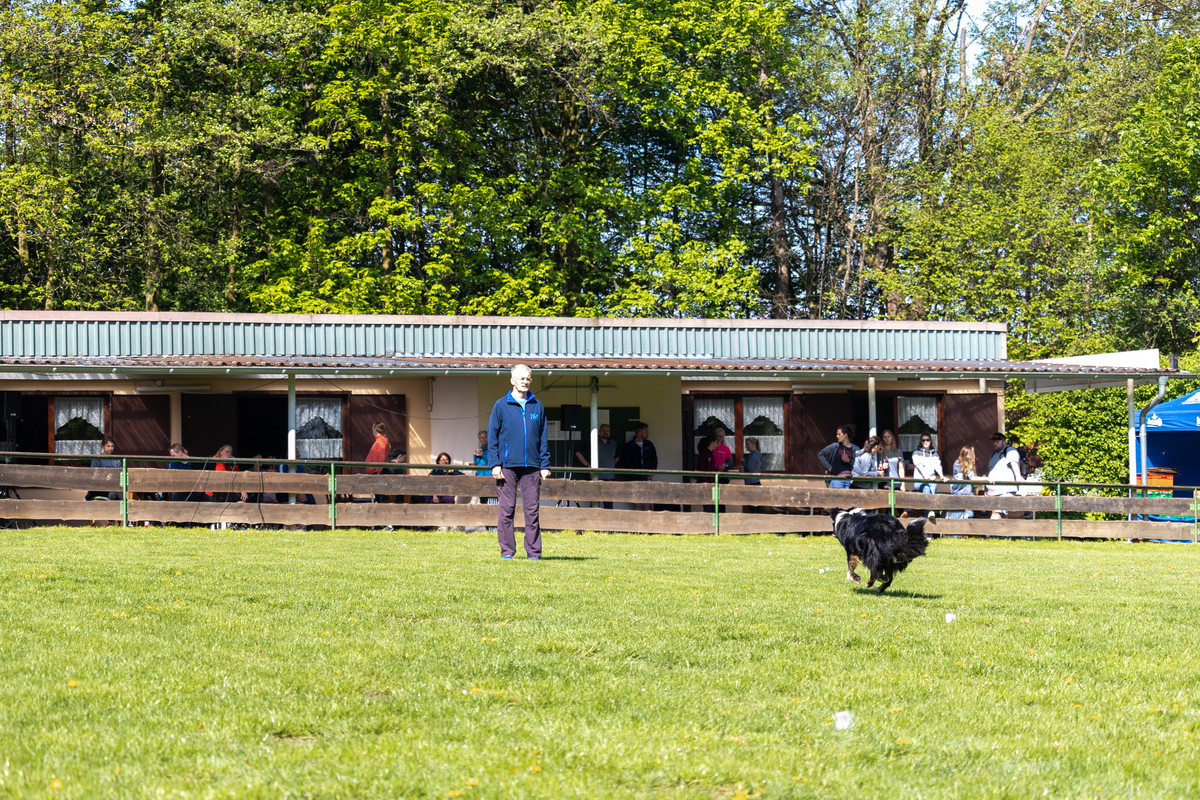 223A0071 — Postimages