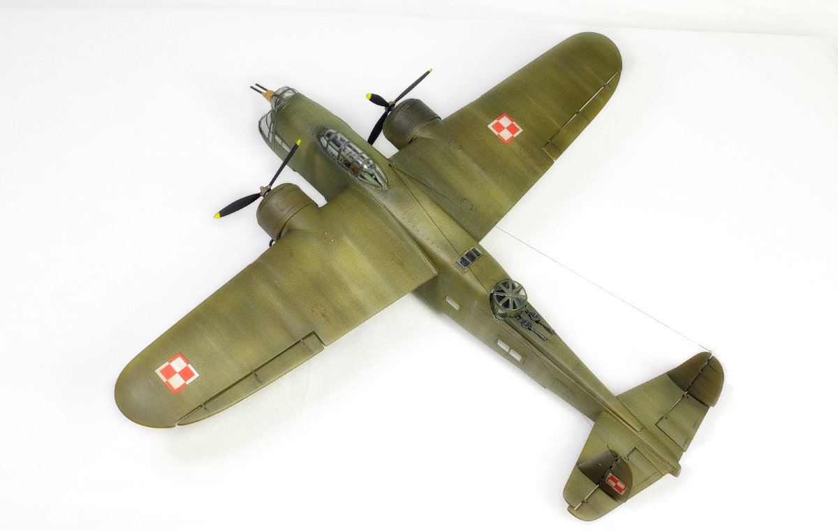 LWS-6 ZUBR - Ready for Inspection - Aircraft - Britmodeller.com