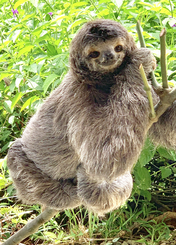 IMG 8575 — Postimages