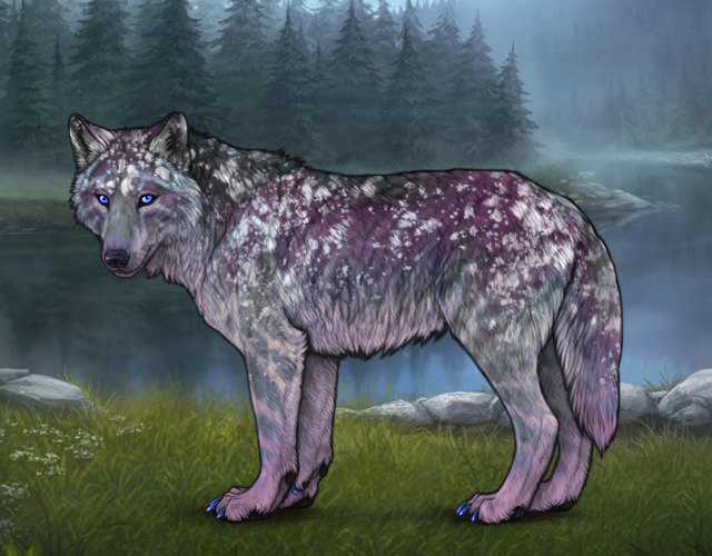 Chased Wolf Spotting - Revamped |:| Wolvden