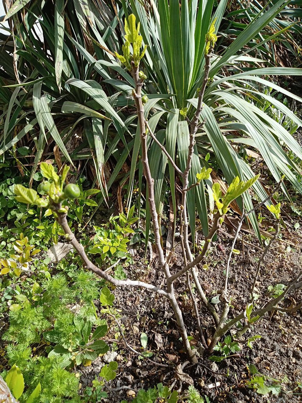 IMG 20240411 103153032 — Postimages