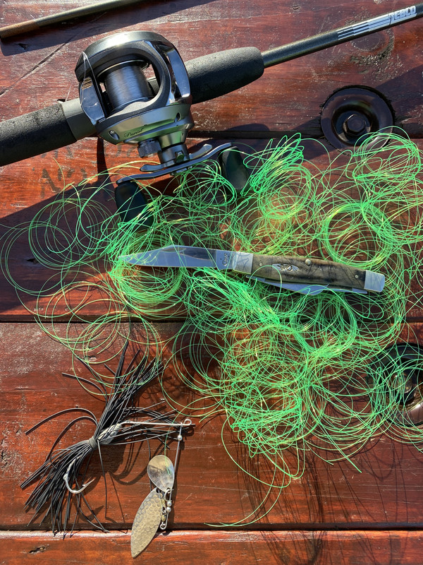 Prettiest Backlash Ya'll Ever Did See! - Fishing Rods, Reels, Line, and ...