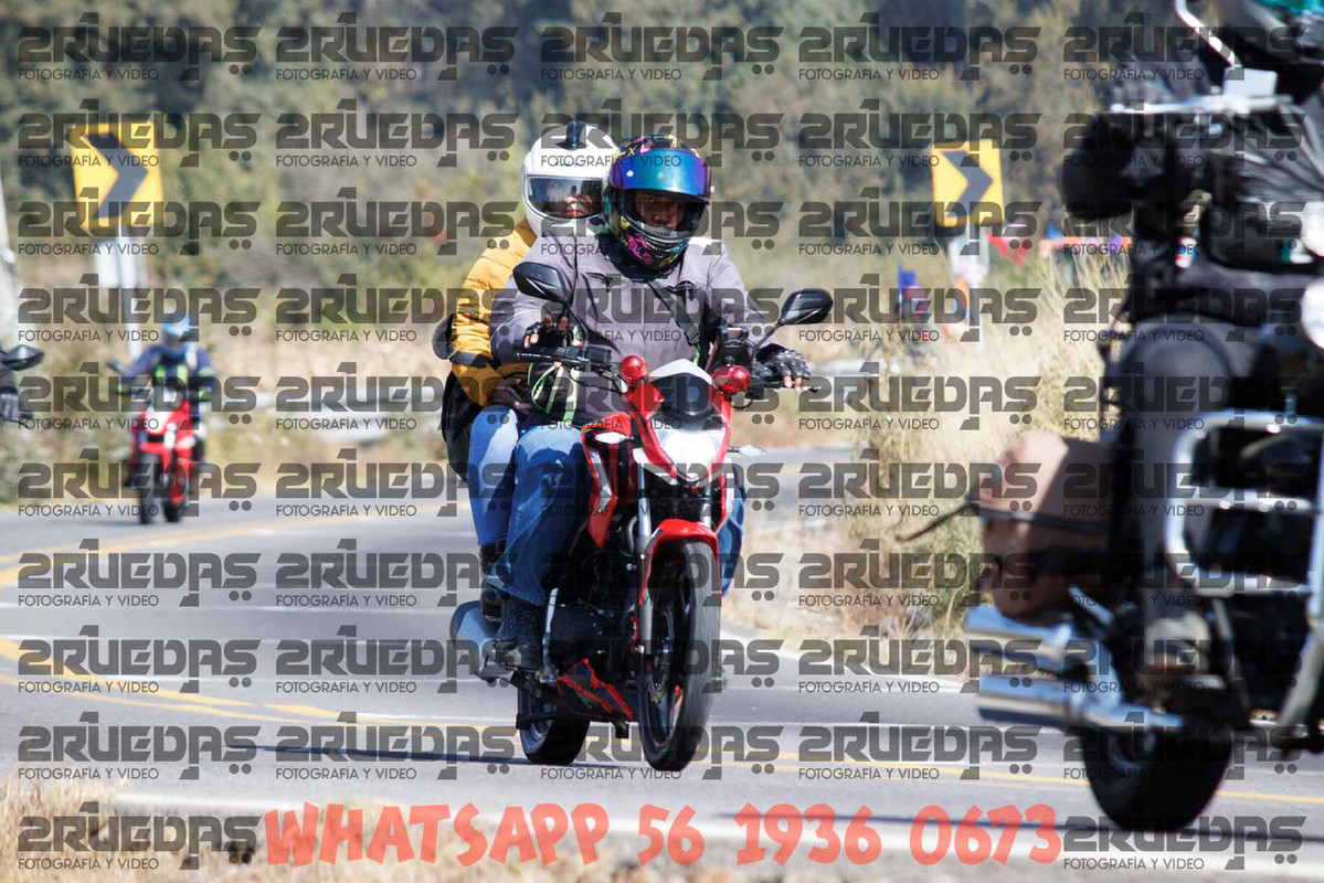 MG 8534 — Postimages