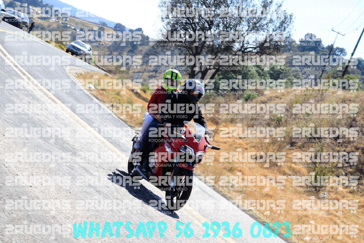 MG 1104 — Postimages