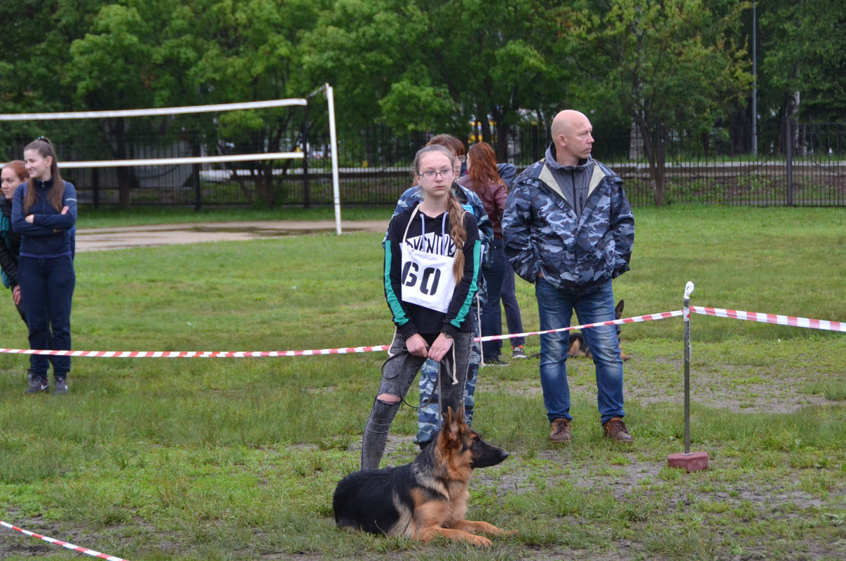 DSC 0149 — Postimages