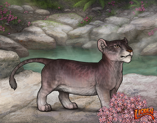 💜Decorate my Dwarf for 10GB🔥💰 :|: Lioden