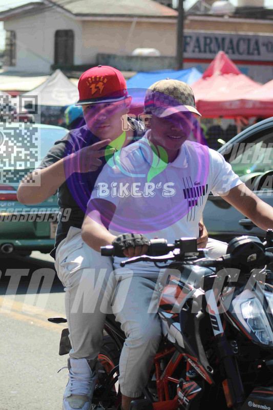 batch IMG 1693 — Postimages