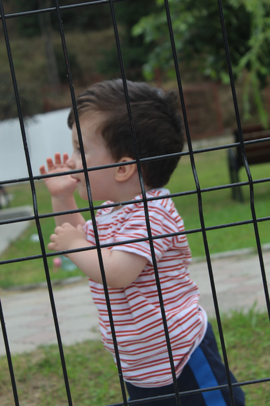 IMG 2415 — Postimages