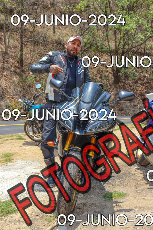 SC 115 — Postimages