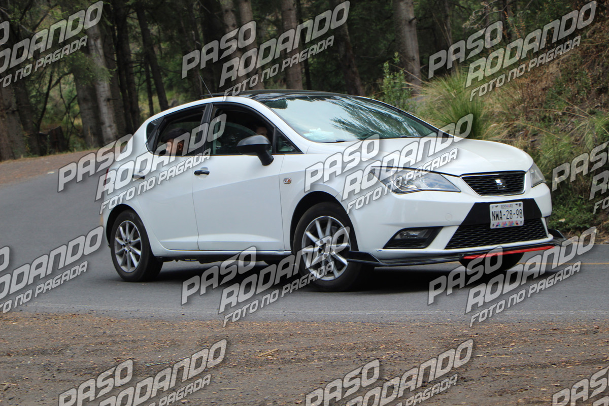 IMG 9268 wm 13517619 watermarked — Postimages