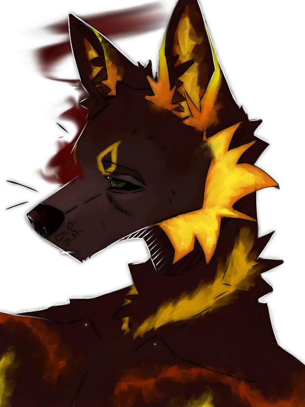 2024 11 20 0oz Kleki (1) — Postimages