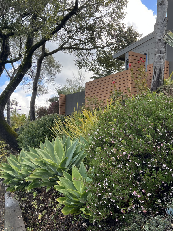 IMG 0355 — Postimages