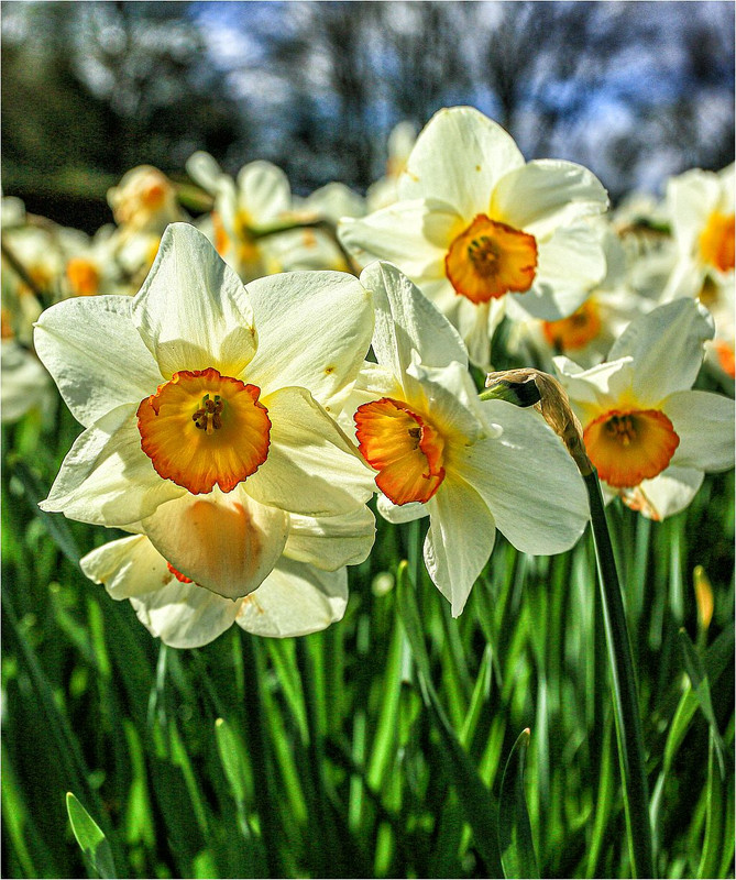 P70 A88221 A7 — Postimages