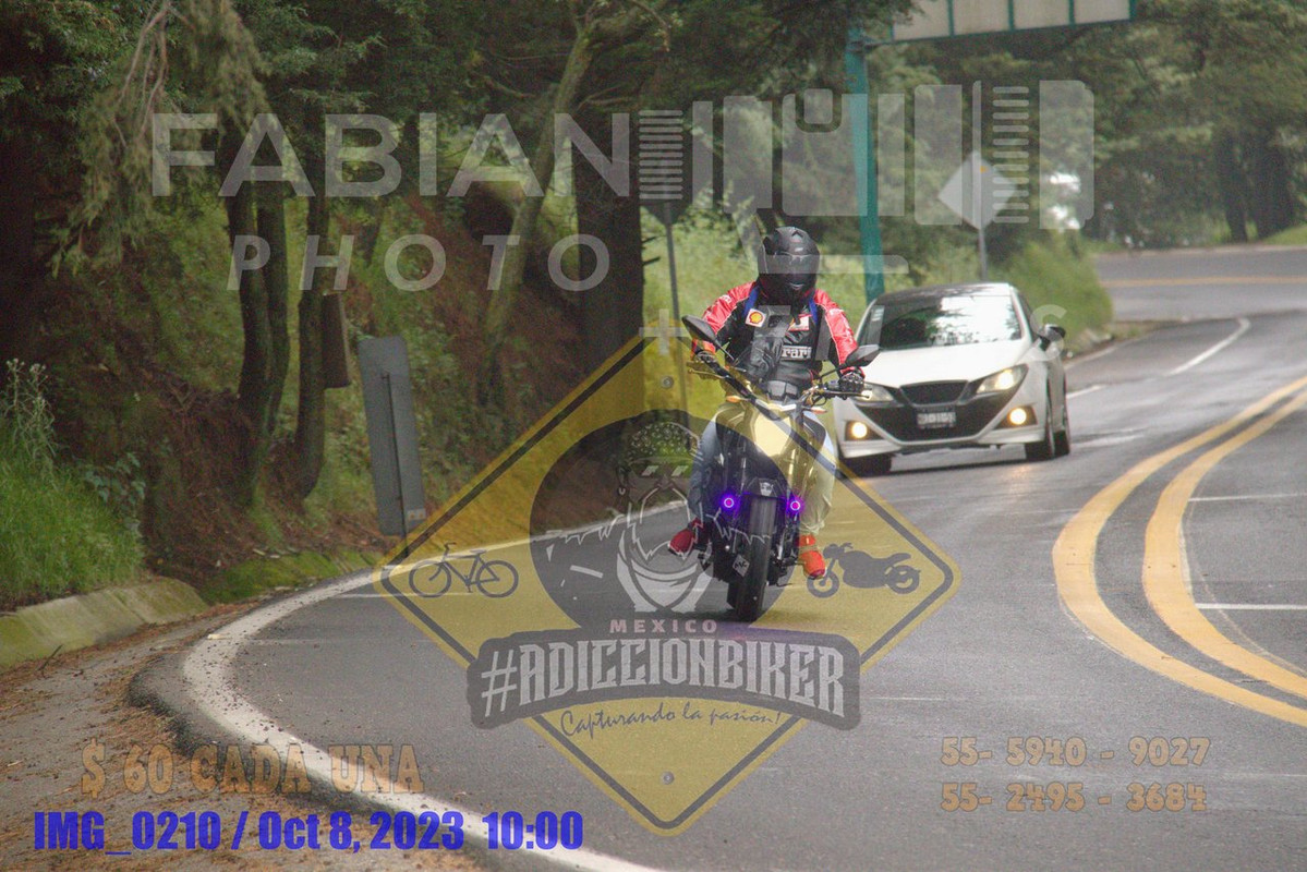 Album — Postimages