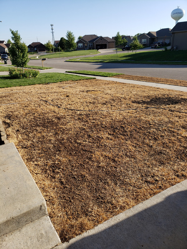 20190729 185041 — Postimages