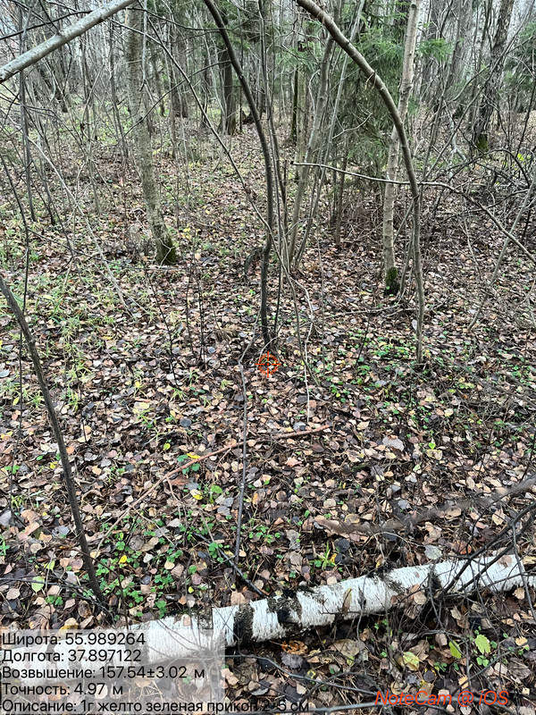 IMG 2102 — Postimages