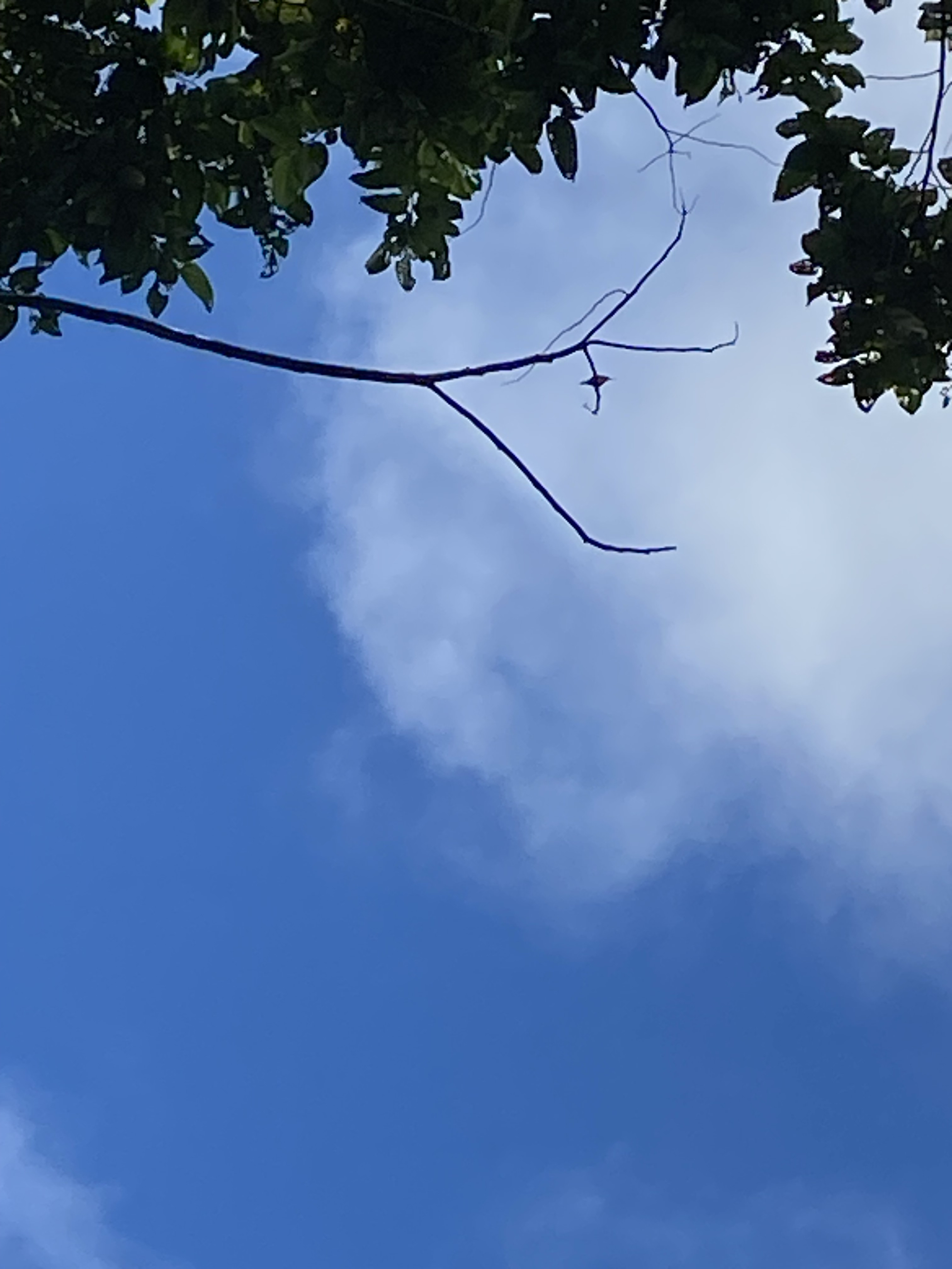 IMG 1202 — Postimages