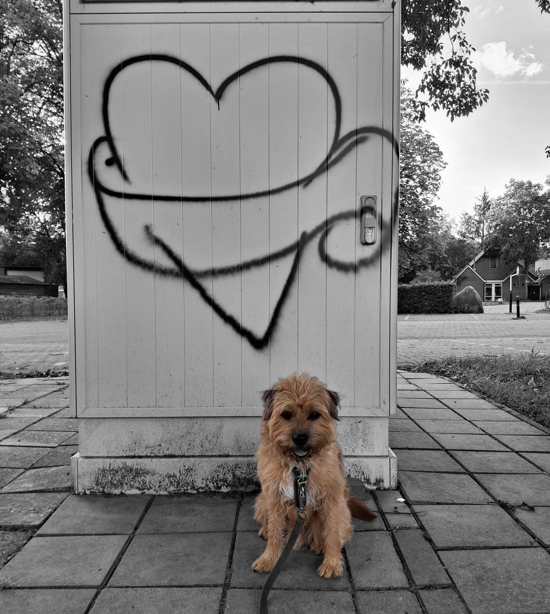 IMG 2961 — Postimages