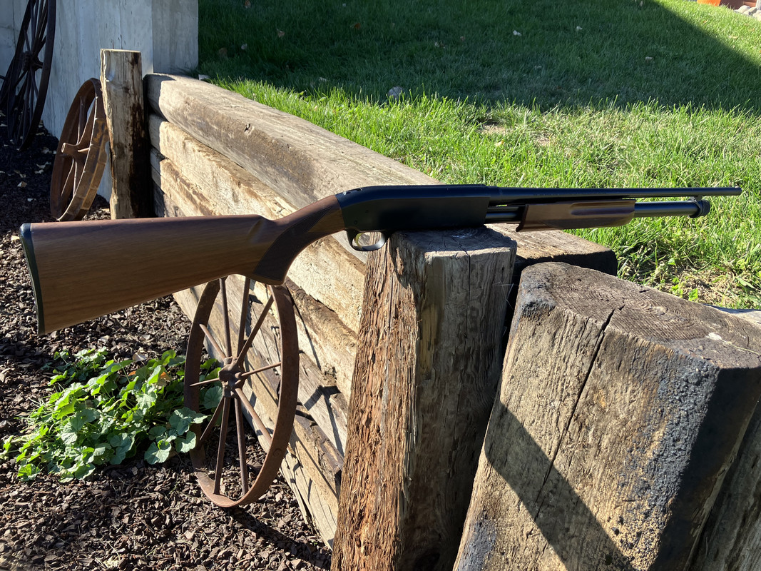 IMG 3593 — Postimages