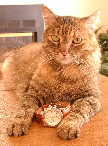 TimeZone : Public Forum » Is this the beginning....