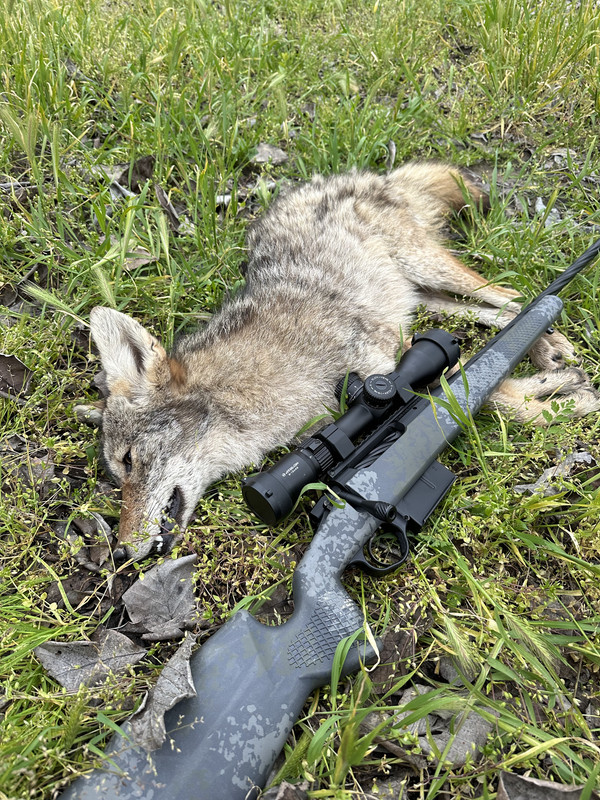 IMG 4584 — Postimages