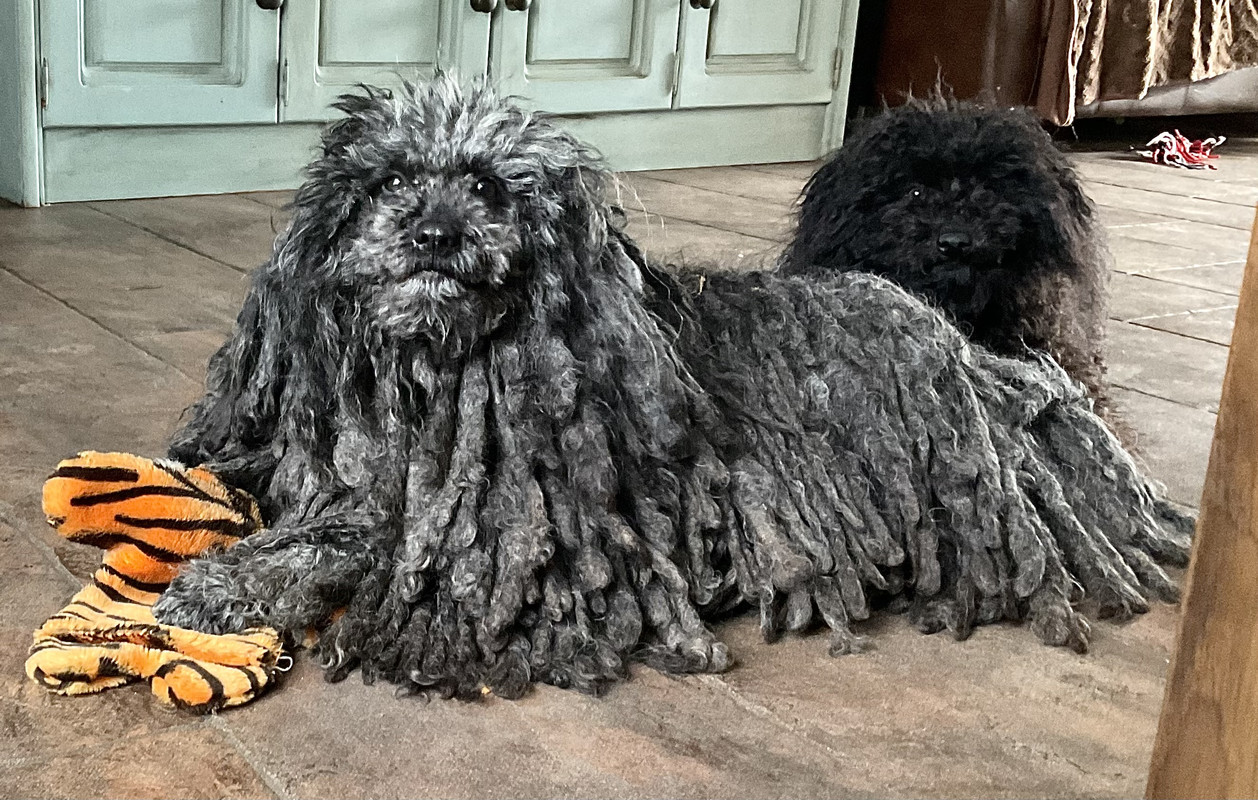 7 ECC65 FA 71 A9 47 D6 A8 AB 3 F327 AB73273 — Postimages