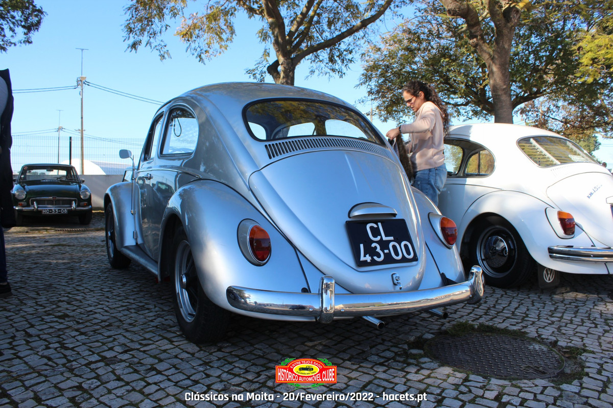 IMG 1708 — Postimages