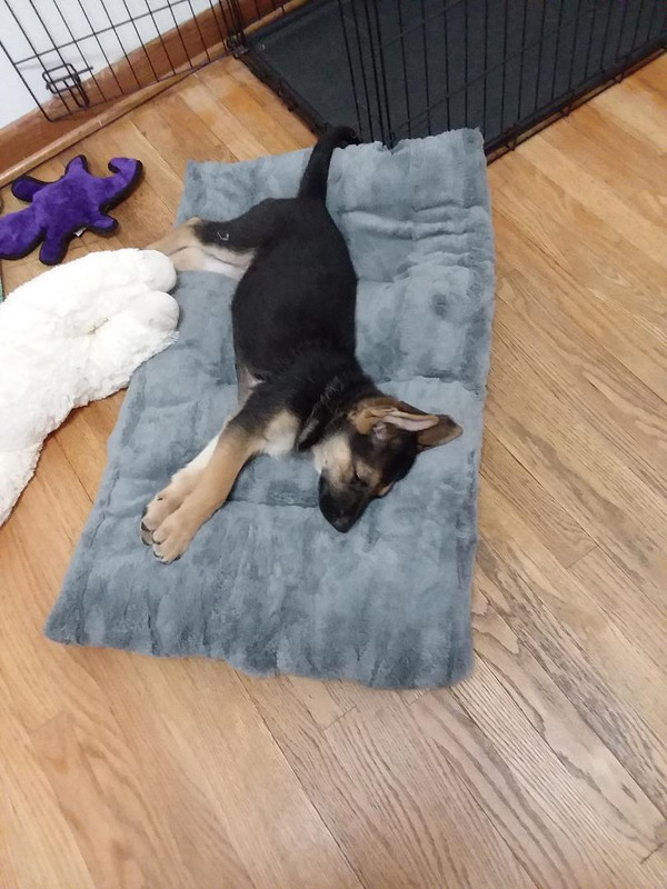 thumbnail (11) — Postimages