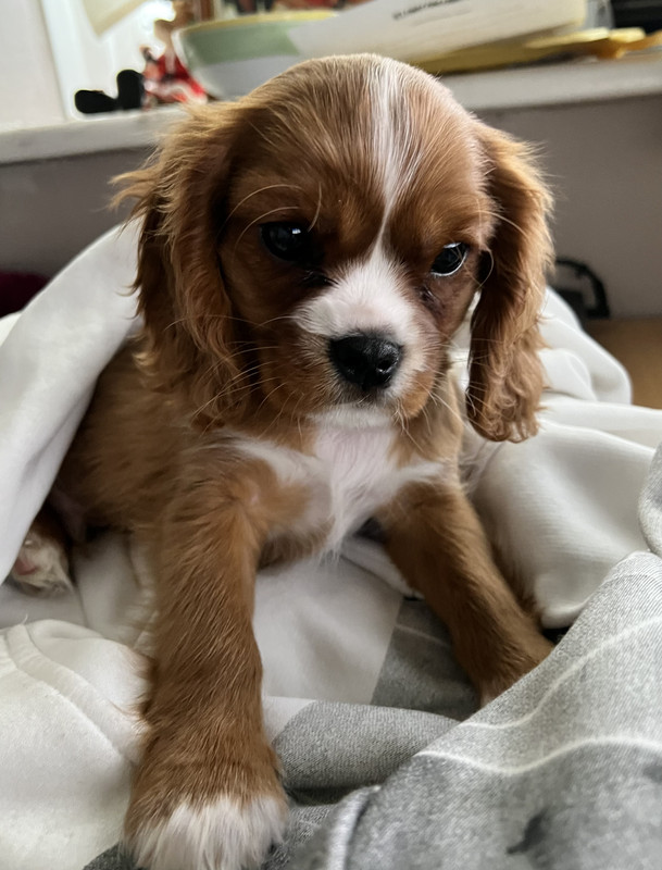 IMG 6282 — Postimages