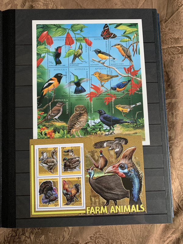 IMG 1056 — Postimages