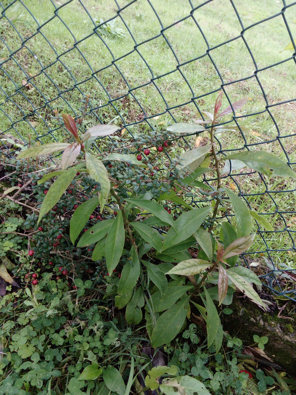 DSC 0674 — Postimages