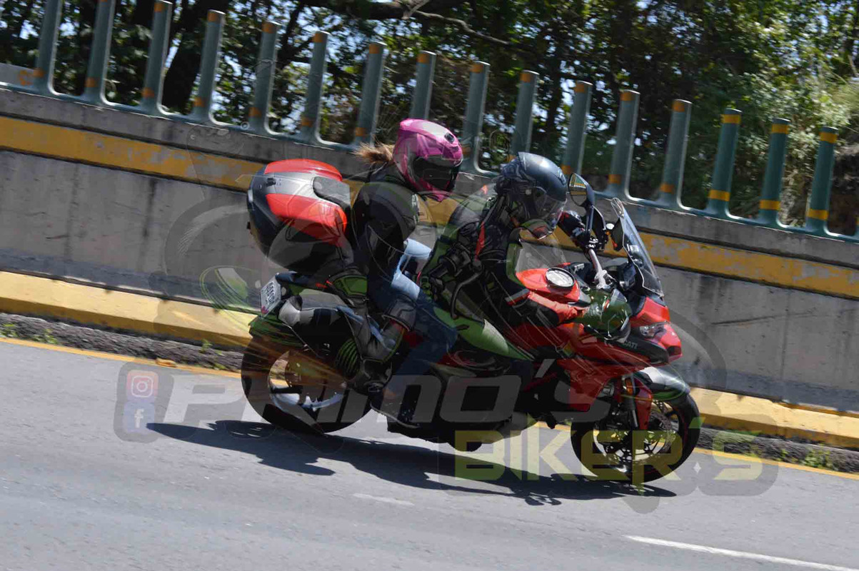 DSC 0298 — Postimages