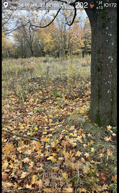 IMG 1525 — Postimages