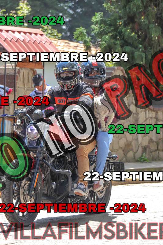 CV 1016 — Postimages