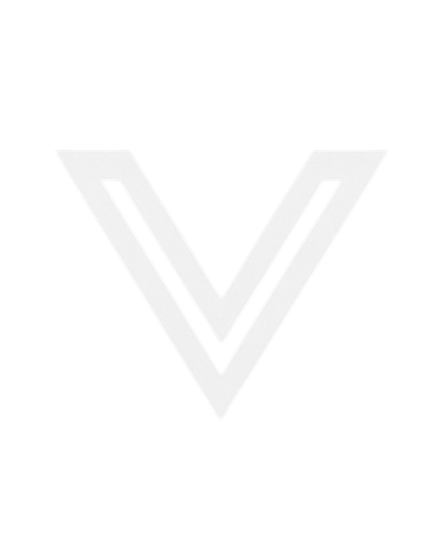 Vyron - Remote PC Optimization