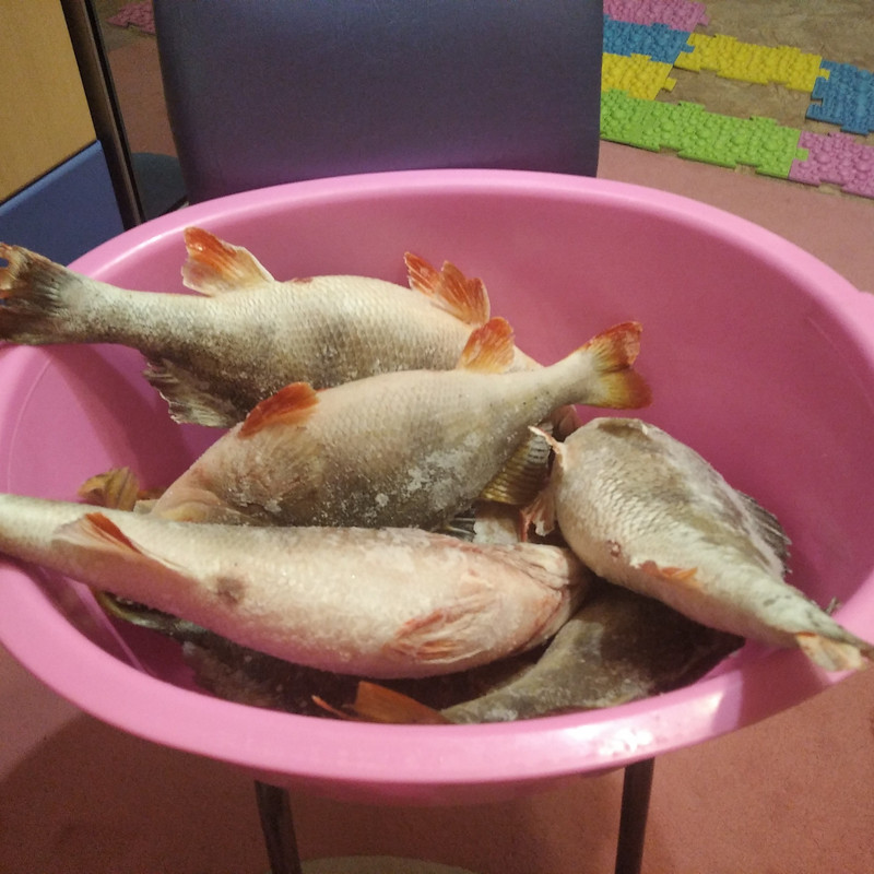 IMG 20230107 212146 — Postimages