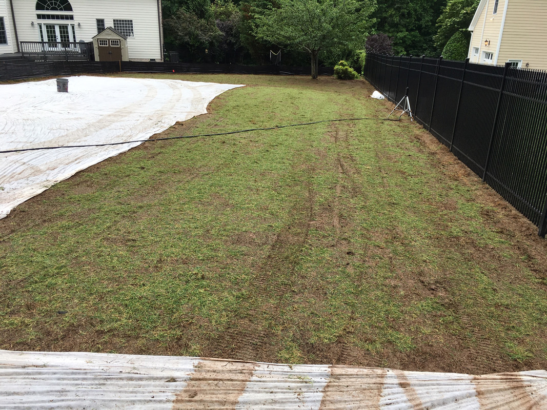 Tahoma sprigs - 3 Phases, 12k | Lawn Care Forum