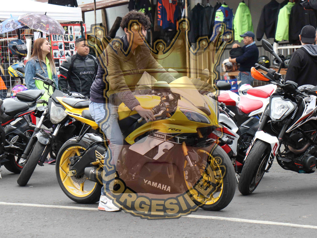 IMG 1195 — Postimages