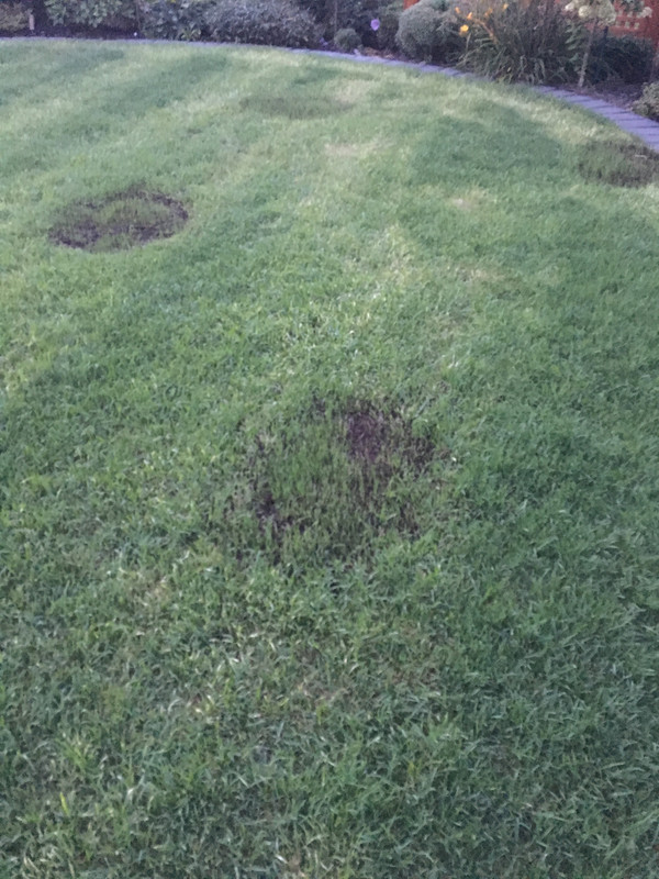 5 CF85092 E3 D6 40 BD 8411 8 E4 B87 FEB3 B7 — Postimages