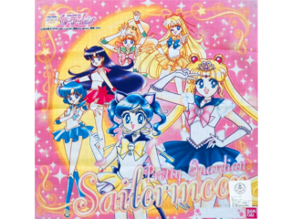 Animated PGSM Style | Sailor Moon x Suburban Senshi Forums
