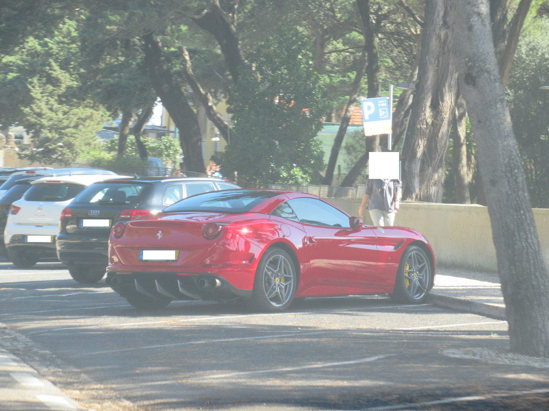 IMG 2260 — Postimages