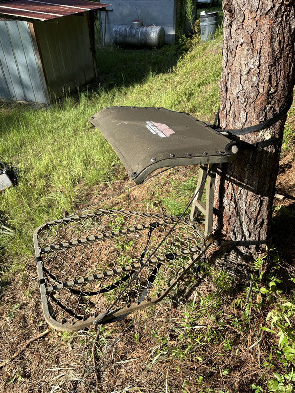 IMG 2783 — Postimages