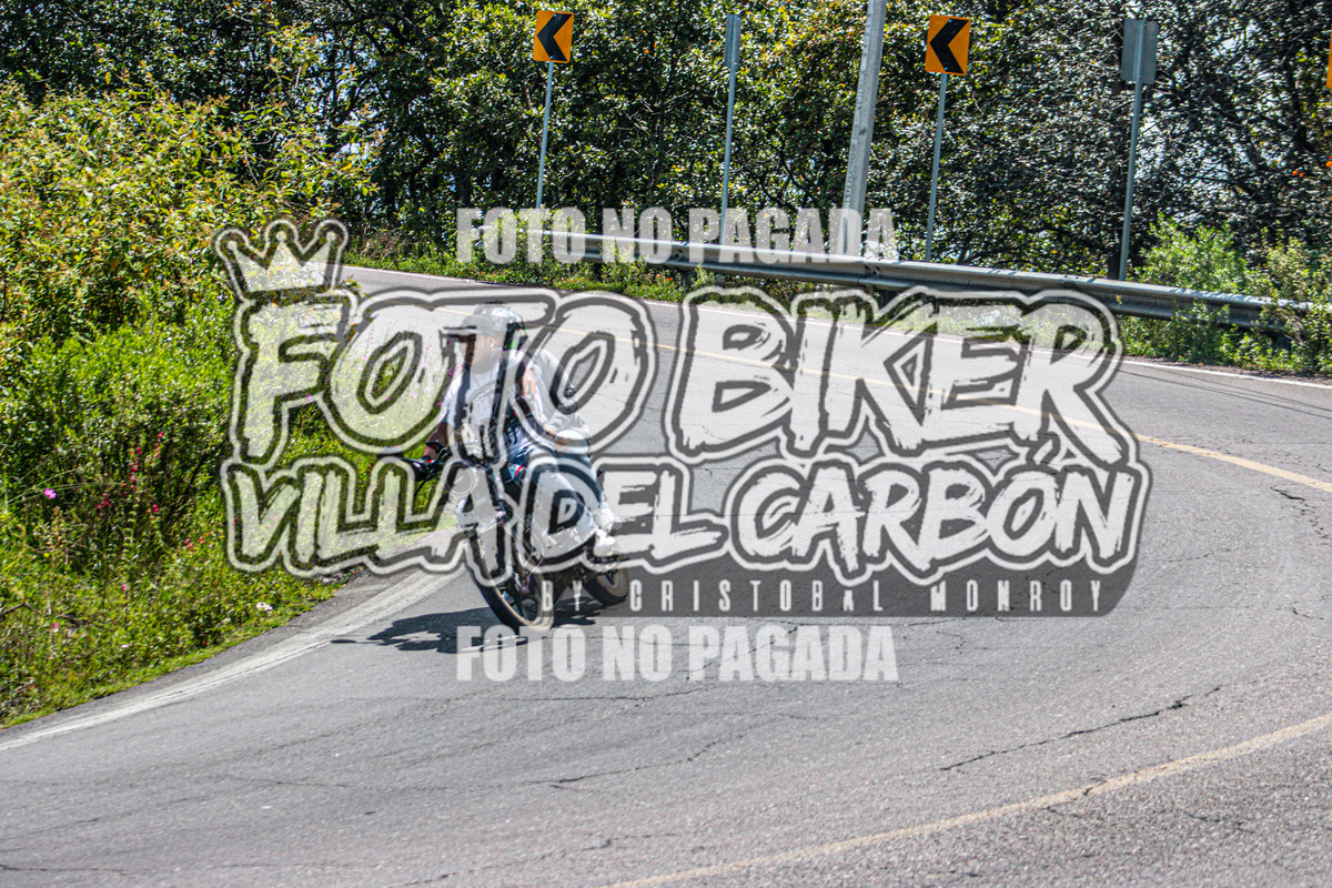 cvp8 109 — Postimages