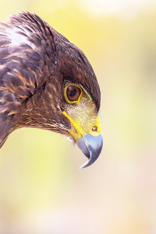 IMG 5169 — Postimages