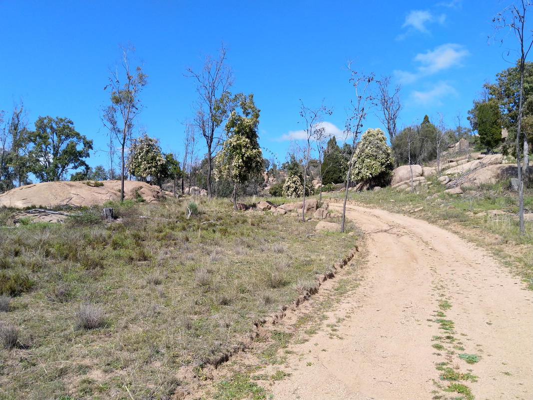 drive — Postimages