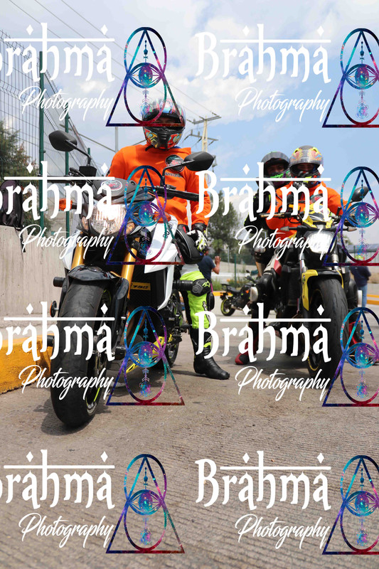 IMG 2109 — Postimages